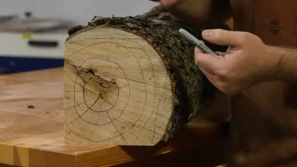 How to Quarter Saw a Log with a Bandsaw: 8 Steps [DIY Guide]